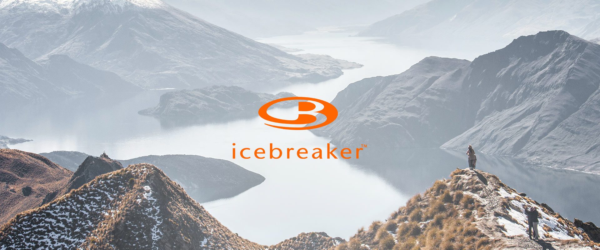 Icebreaker master data management - Case Study